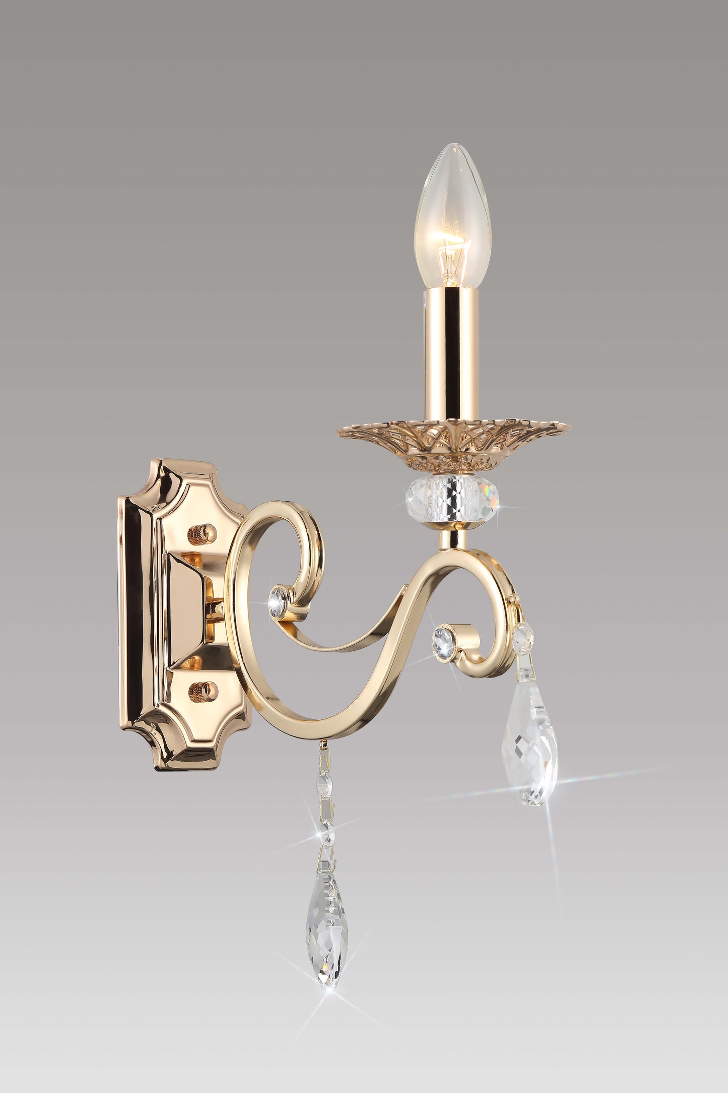 ARONA Golden Wall Light | Buy Wall Lights Online In India | By Stello ...
